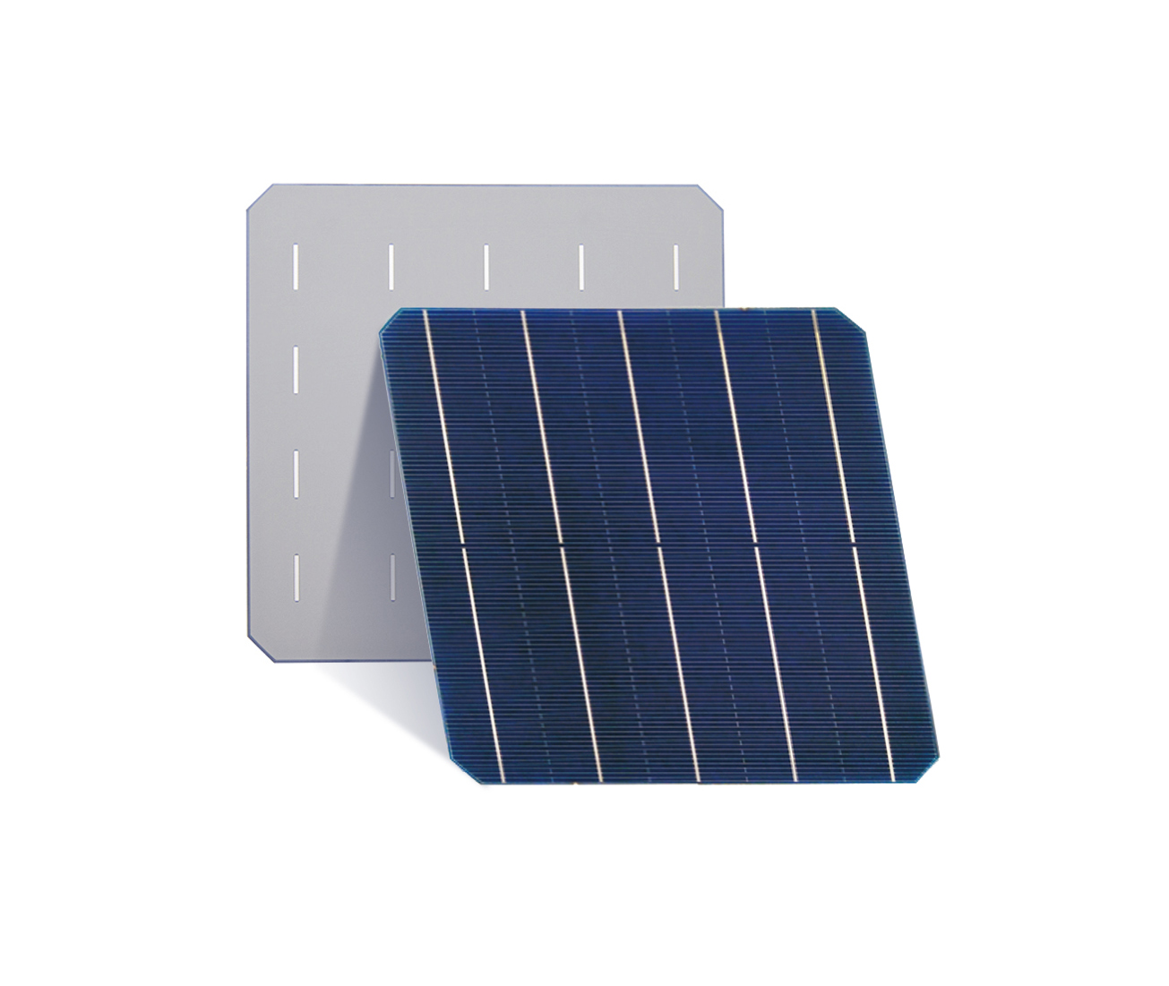 Imperial Star Solar | MONO PERC CELL (156.75) | Solar Cell Datasheet ...