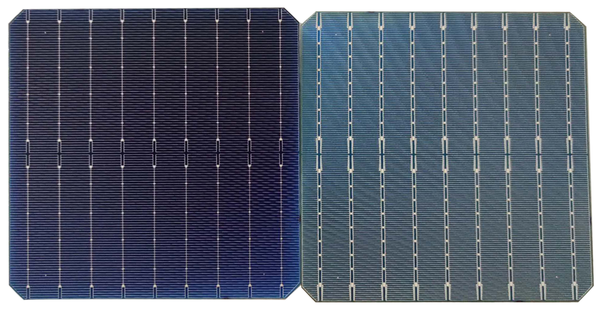 Shenzhen XXR Solar Manufacturer | XXR M6 bifi-166mm 9BB(22.5%) | Solar ...