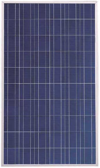 CN Solar | CNM200P-54 | Solar Panel Datasheet | ENF Panel Directory