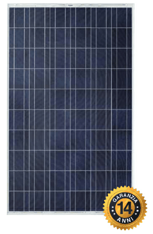 Renergies Italia | REN 220P | Solar Panel Datasheet | ENF Panel Directory