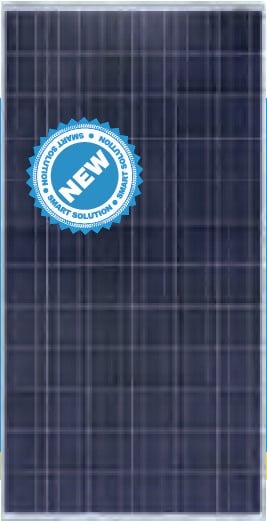 Lightway Green New Energy | P1970×990_ST | Solar Panel Datasheet | ENF ...