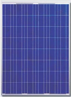 Fujian Sunsense Technology | SUN-160-24-P | Solar Panel Datasheet | ENF ...