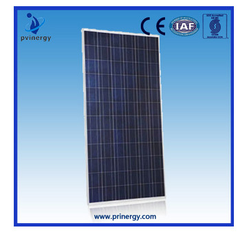 Pvinergy Technologies | Poly 300W 156*156 | Solar Panel Datasheet | ENF ...