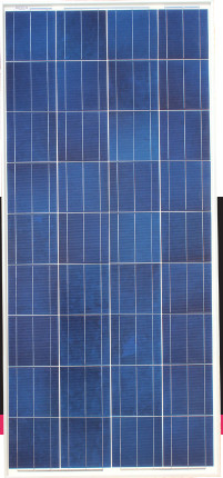 Zebra Energy | ZBR-150P | Solar Panel Datasheet | ENF Panel Directory