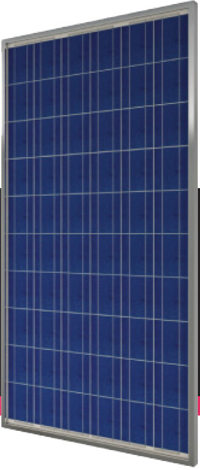 Zebra Energy | ZBR-300P | Solar Panel Datasheet | ENF Panel Directory