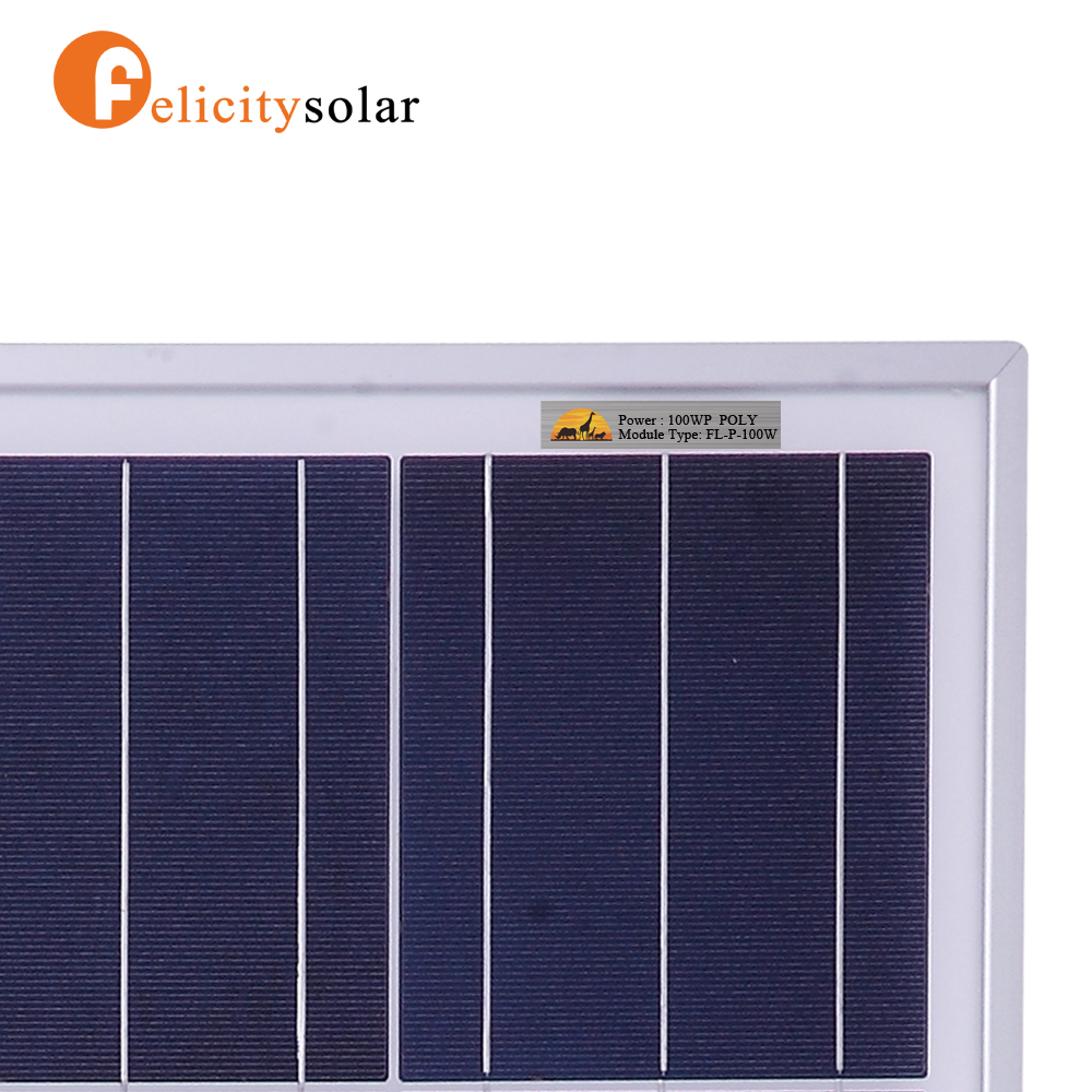 Felicitysolar | FL-P-100W | Solar Panel Datasheet | ENF Panel Directory