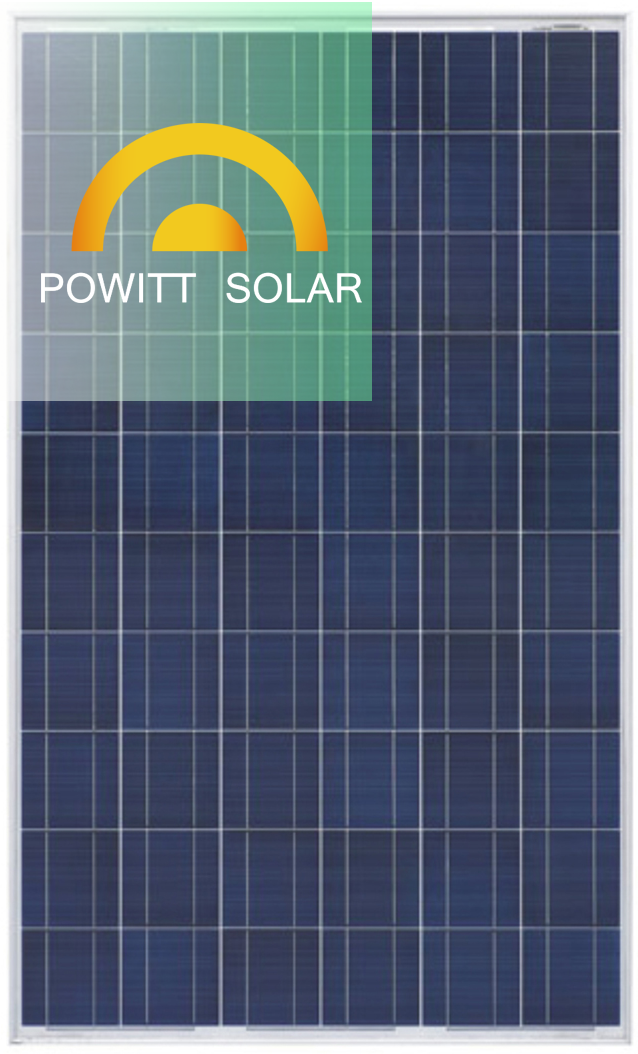 Powitt Solar | Poly Panel | Solar Panel Datasheet | ENF Panel Directory