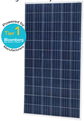 ABi-Solar | ABP-72P | Solar Panel Datasheet | ENF Panel Directory