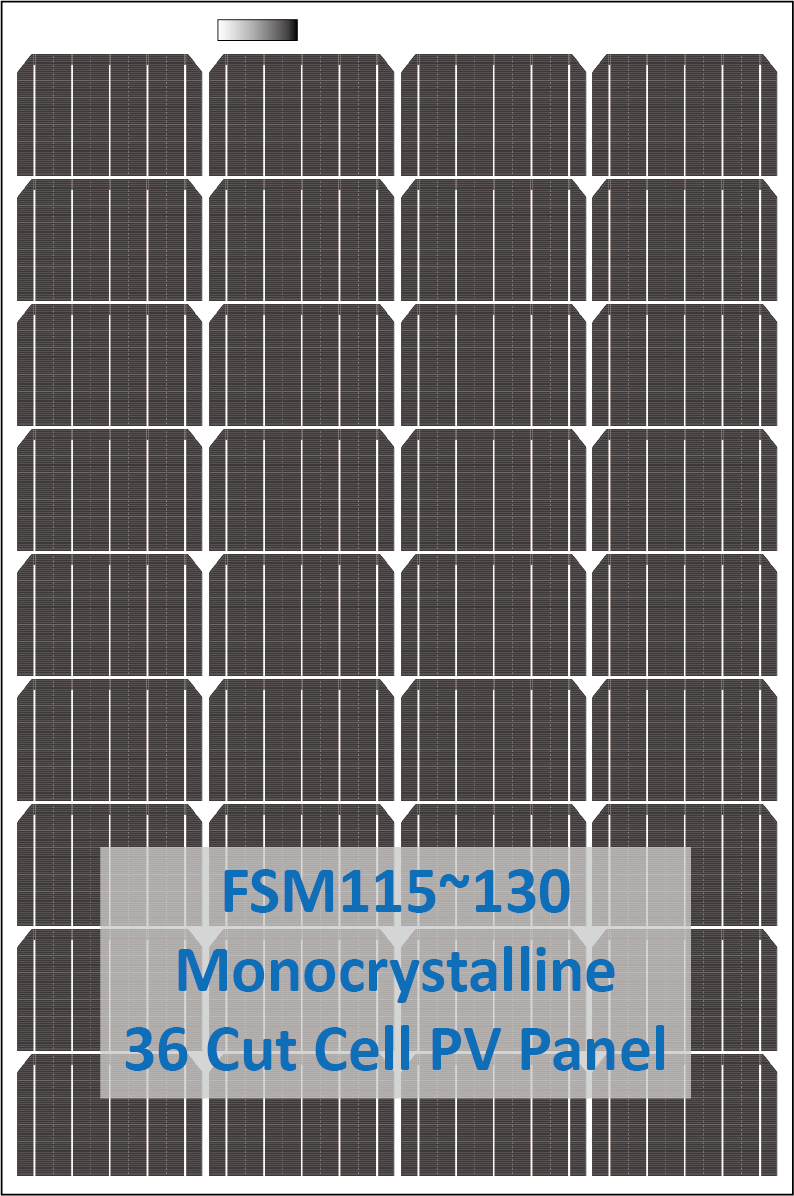 Tamrons Active | FSM100~130 | Solar Panel Datasheet | ENF Panel Directory