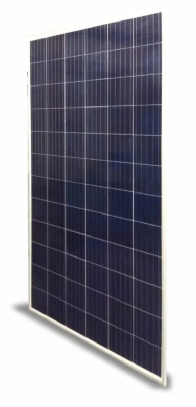Genus Innovation | Genus Poly 335 Wp 24V | Solar Panel Datasheet | ENF ...