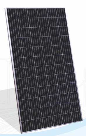 Pahal Solar | Poly PS-72 335Wp | Solar Panel Datasheet | ENF Panel ...