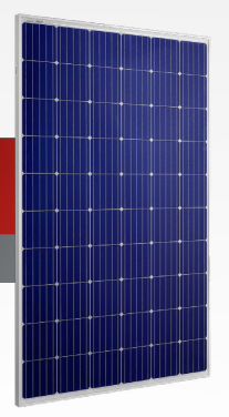 Western | 300Wp PV Module | Solar Panel Datasheet | ENF Panel Directory