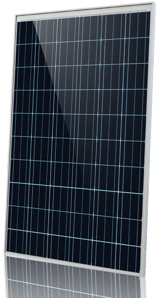 Zeus Appollo | ZA1ZDNY 310W | Solar Panel Datasheet | ENF Panel Directory