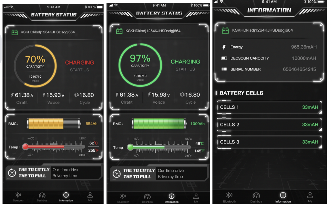 Leadyo Technology | 12V LiFePO4 Battery | Solar Storage System Datasheet | ENF Storage System ...