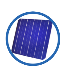 Exportico Solar | Poly | Solar Cell Datasheet | ENF Solar Cell Directory