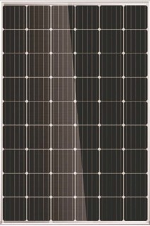 Nyalkaran Energy | Procyon Mono PERC NE265-295M | Solar Panel Datasheet ...