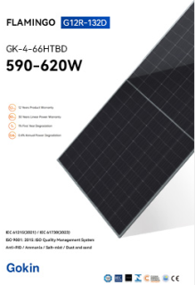 Gokin Solar | Flamingo G12R-132D 590-620W | Solar Panel Datasheet | ENF ...